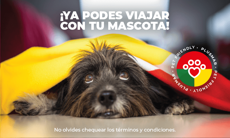 Venta de pasajes de micro - ¡Reservá ahora! | Plusmar Argentina